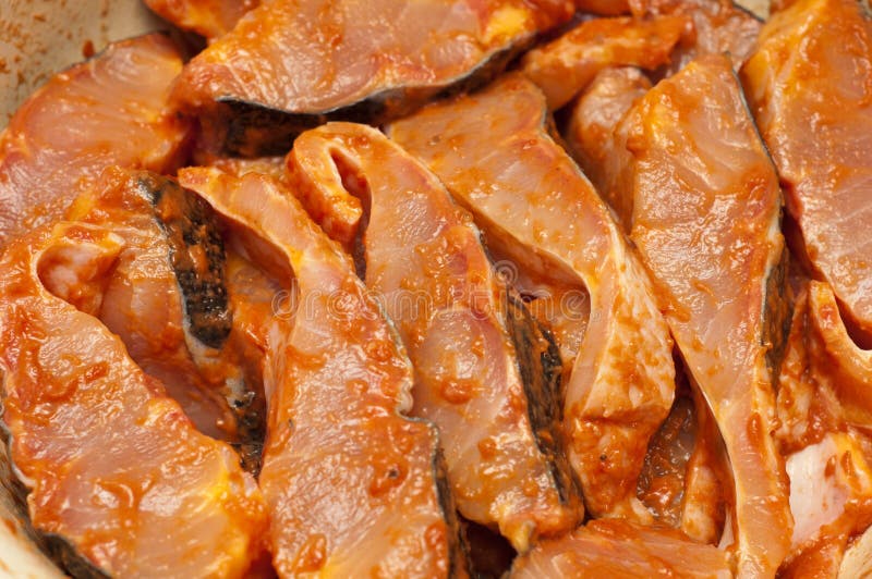 Sturgeon fillets marinated stock photo. Image of preparation - 19520790