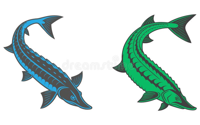 Sturgeon Fish Fishing Logo, Jumping Fish Design Template Vector ...