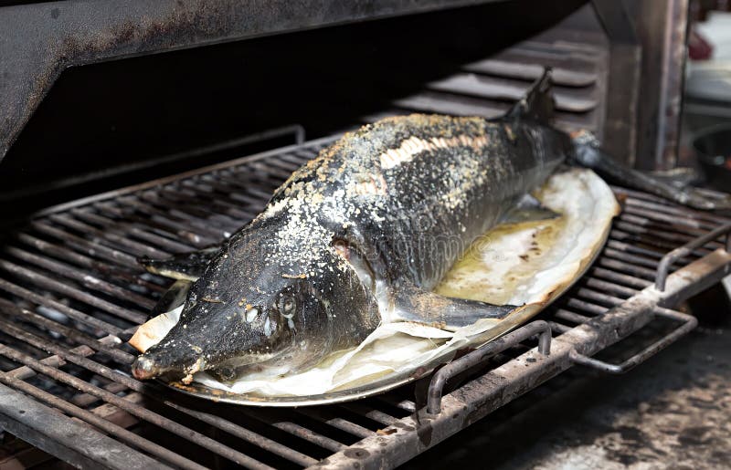 Sturgeon Meat Ready for Cooking. Stock Image - Image of meal, seafood ...
