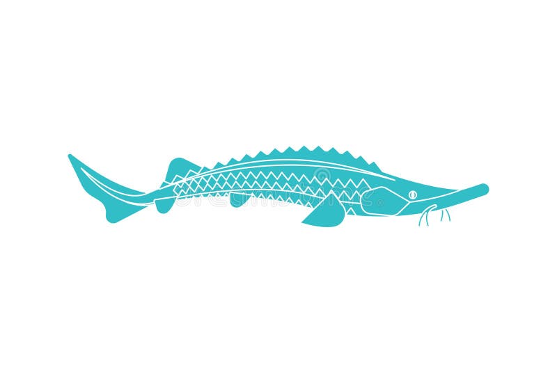 Sturgeon Isolated Icon. Fish Sign Stock Vector - Illustration of icon ...
