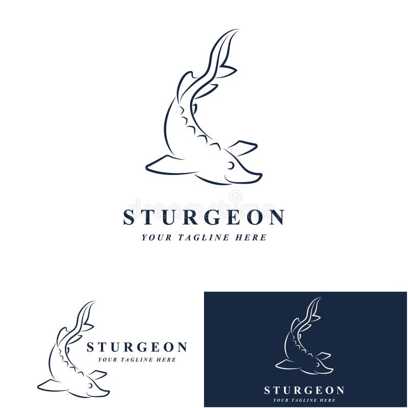 Sturgeon logo vector stock vector. Illustration of vector - 277468289