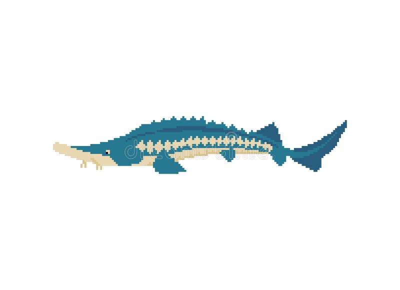 Sturgeon Pixel Art. 8 Bit Fish Sign Stock Vector - Illustration of reef ...