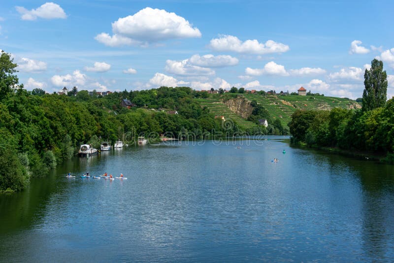 Paddleboard Class on the Neckar River in Stuttgart in Summer Editorial ...