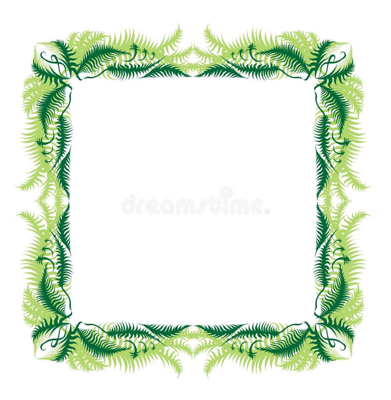 Style Fern Frame stock vector. Illustration of fern, flora - 10732728