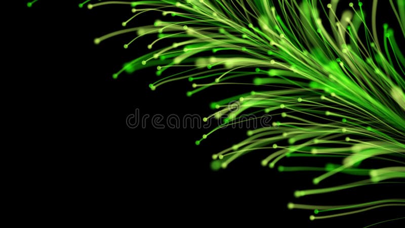 Stylish Animation of a Bright Branch Dynamically and Elegantly Growing ...