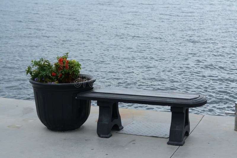 Stylish Black Bench and Vase with Beautiful Plants on Seashore Stock ...