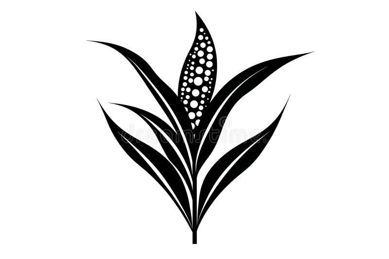 Stylish Black and White Corn Plant Illustration, Abstract Maize Design ...