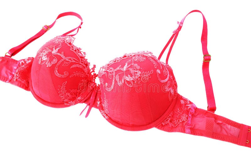Stylish bra stock photo. Image of brassiere, isolation - 31001186