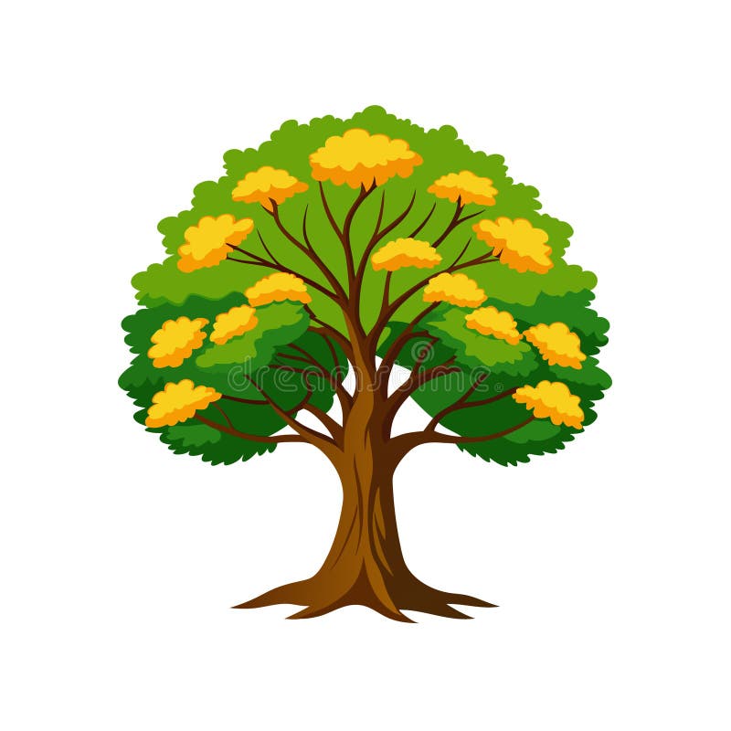 Stylish Common Beech Tree Design on White Background Stock Illustration ...