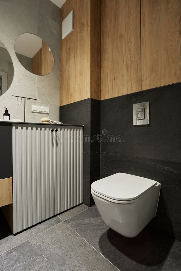 Stylish Composition of Modern Bathroom Interior. Designed Shower, Mixed ...