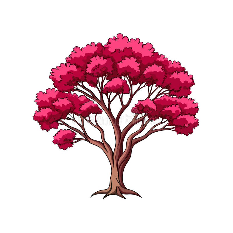 Stylish Crape Myrtle Tree Design on White Background Stock Illustration ...
