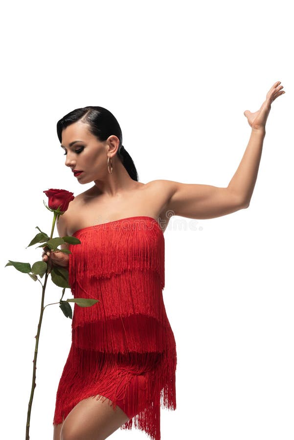 Stylish Dancer Holding Rose while Performing Tango Isolated on White ...