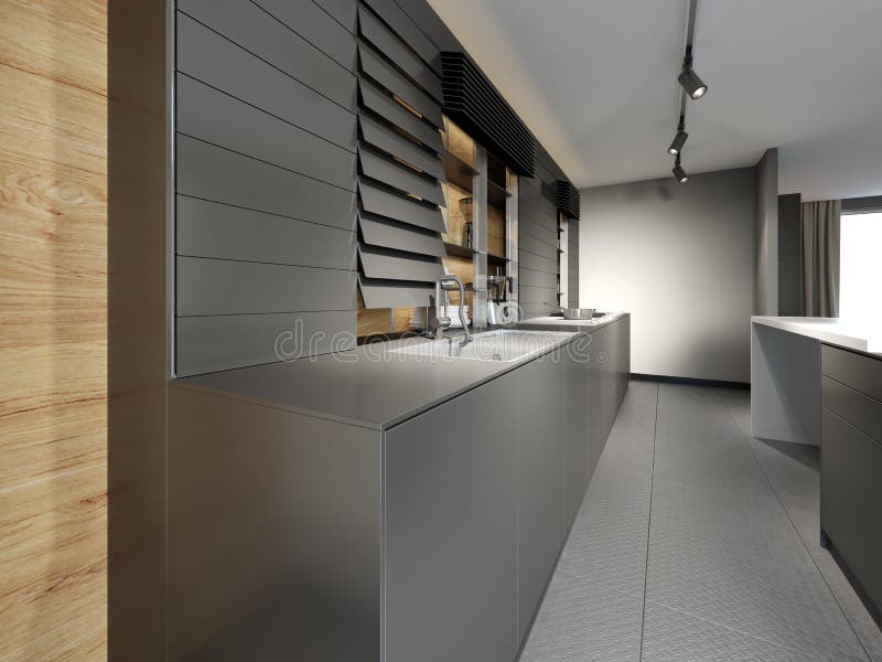 Stylish Dark Wooden Kitchen Studio Interior in Loft Style Stock ...