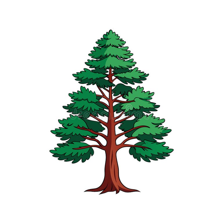 Stylish Eastern White Pine Tree Vector Design Stock Illustration - Illustration of greenery ...