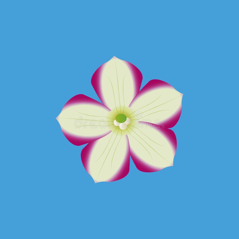 Stylish Flower Illustration Isolated on Background Stock Illustration ...