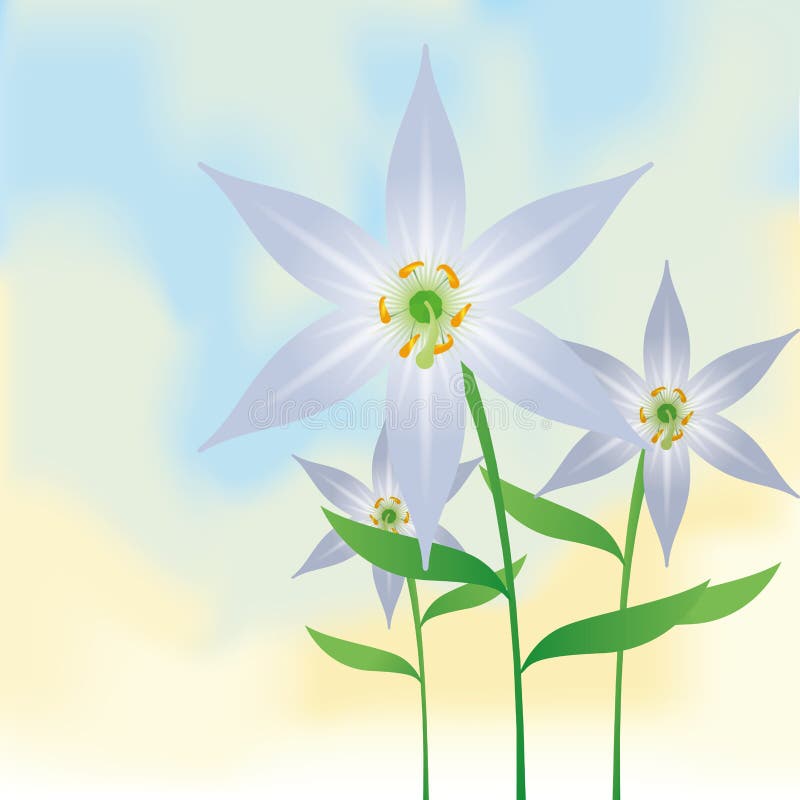 Stylish Flower Illustration Isolated on Background Stock Illustration ...