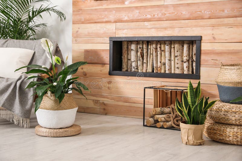 Stylish Interior Design with Plants in Pots Stock Photo - Image of ...