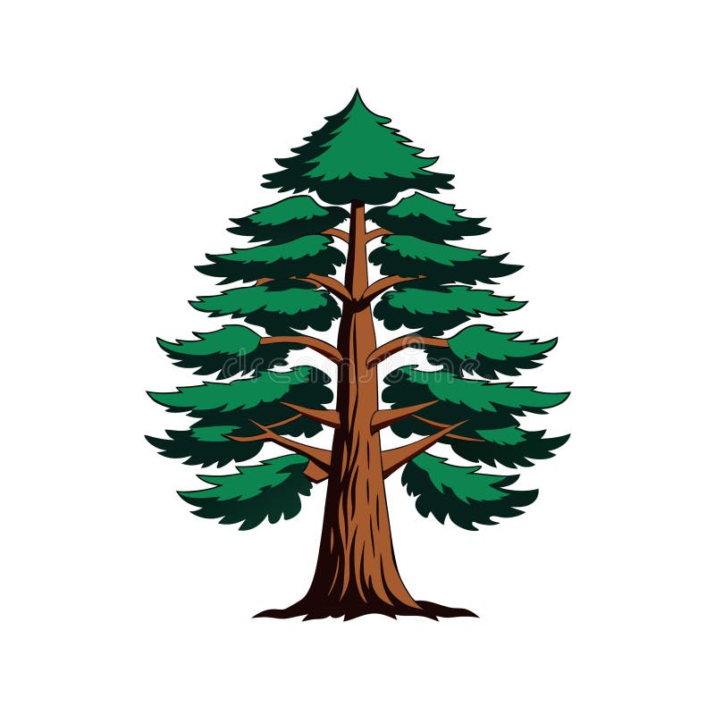 Stylish Larch Tree Vector Design Stock Illustration - Illustration of ...