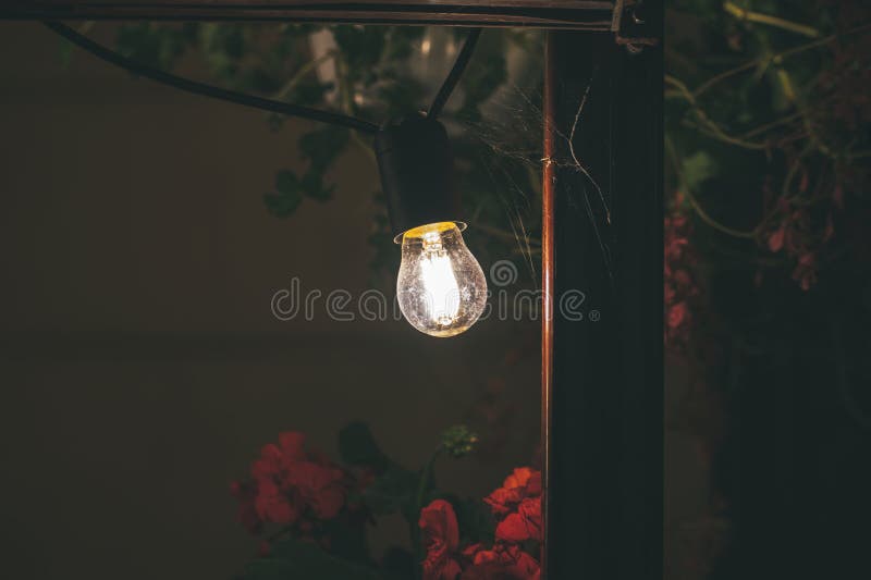 Stylish Light Bulbs in the Cafe Stock Photo - Image of moody, coffee ...