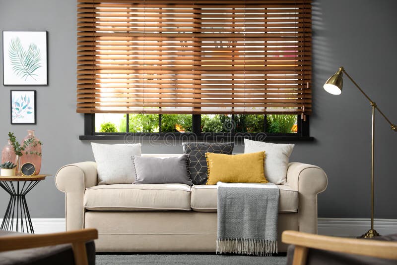 Stylish Living Room Interior with Sofa Near Window Stock Photo - Image ...