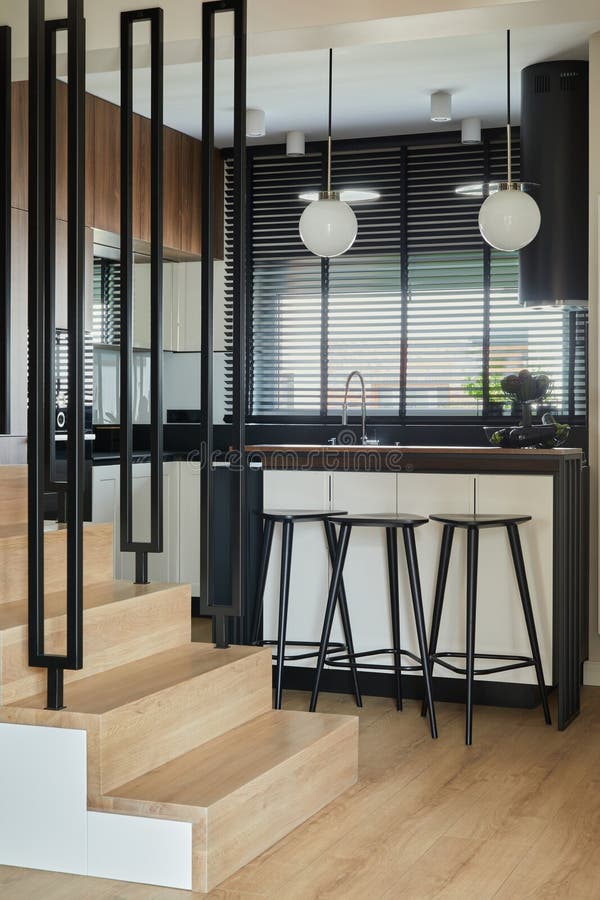 Stylish Modern Composition of Panel Kitchen Interior with Brown Biuld ...