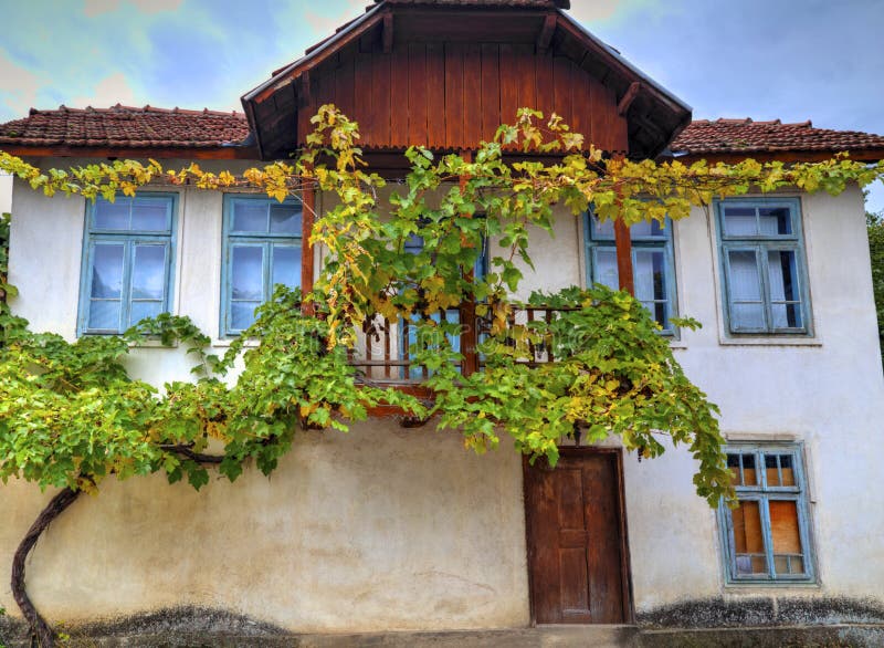 Stylish Old House Decorated with Fresh Green Vine Stock Image - Image ...