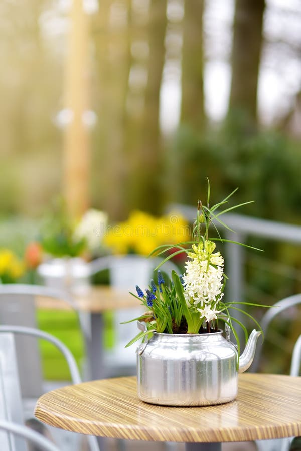 Stylish Outdoor Cafe at Spring Time Stock Image - Image of city, food ...