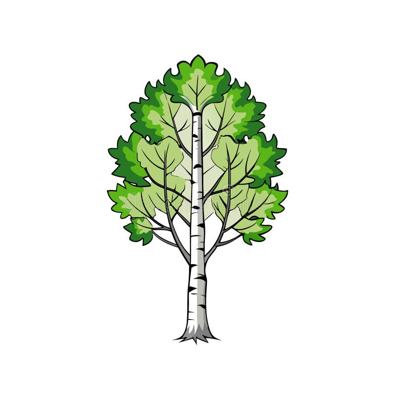 Stylish Paper Birch Tree Design with Strong Outlines Stock Illustration ...