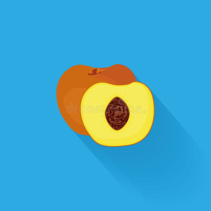 Stylish Peach Isolated on Blue Background Stock Illustration ...