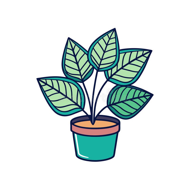 Stylish Racket Plant Illustration Stock Image - Image of decor, plant ...