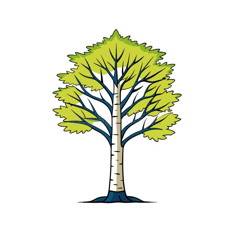 Stylish River Birch Tree Design with Bold Outlines Stock Illustration ...