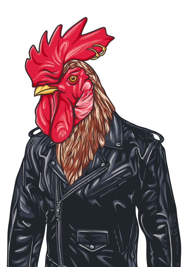 Cool Rooster in Leather Jacket. Vector Illustration Stock Vector ...