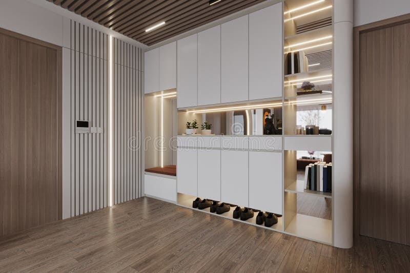 Stylish Shoe Cabinet Showcase Highlighting Statement Pieces in Your ...