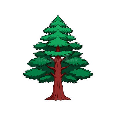 Deodar Tree Stock Illustrations – 57 Deodar Tree Stock Illustrations ...