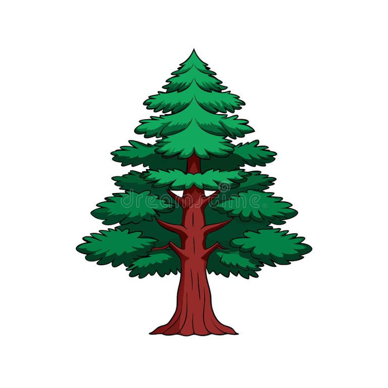 Deodar Tree Stock Illustrations – 57 Deodar Tree Stock Illustrations ...