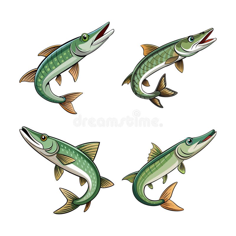 Stylish Wingtail Pike Fish Realistic Design Stock Illustrations – 6 ...