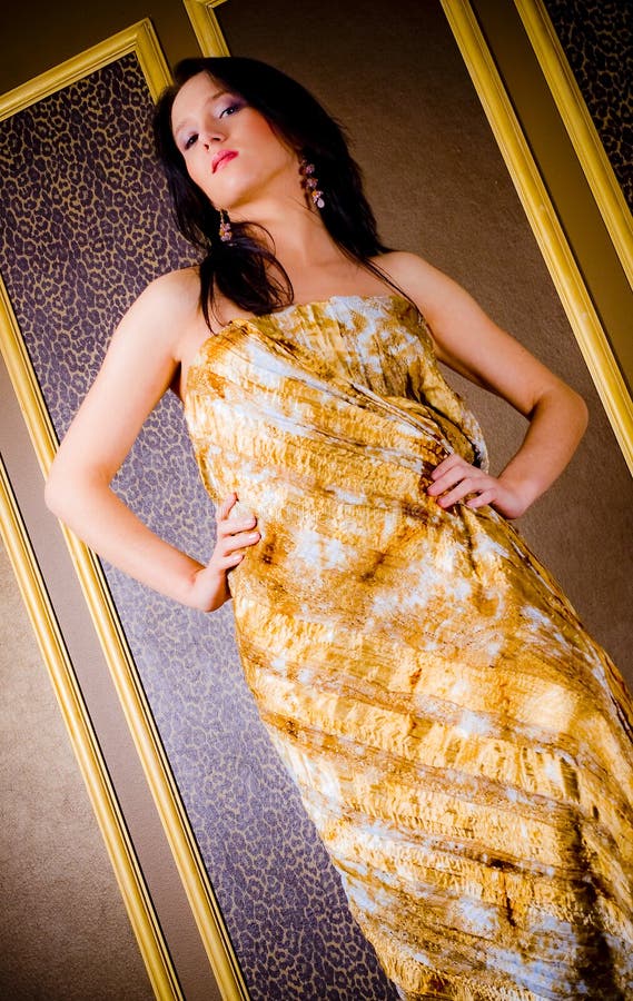 Stylish Woman in Gold Dress Stock Photo - Image of stylish, looks: 7326780