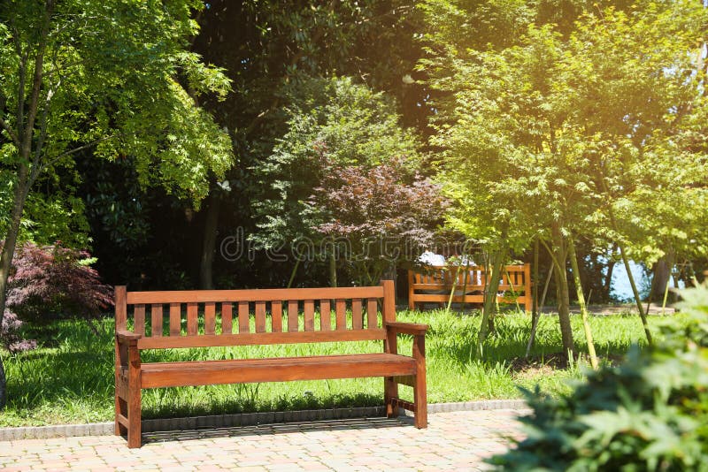 Stylish Wooden Bench in Park on Sunny Day Stock Photo - Image of plant ...