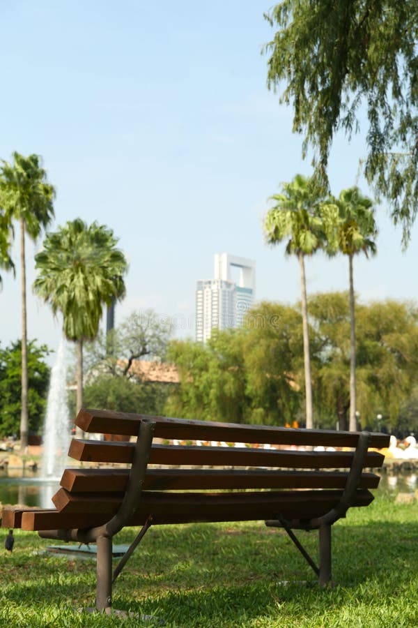 Stylish Wooden Bench in Park on Sunny Day Stock Image - Image of ...