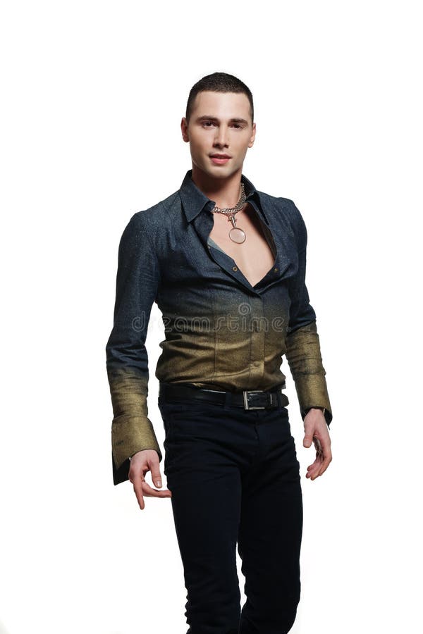 Stylish young man stock image. Image of adult, gesturing - 13039457