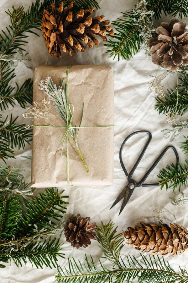 Stylish Zero Waste Gift on Rustic Table with Fir Branches and Pine ...