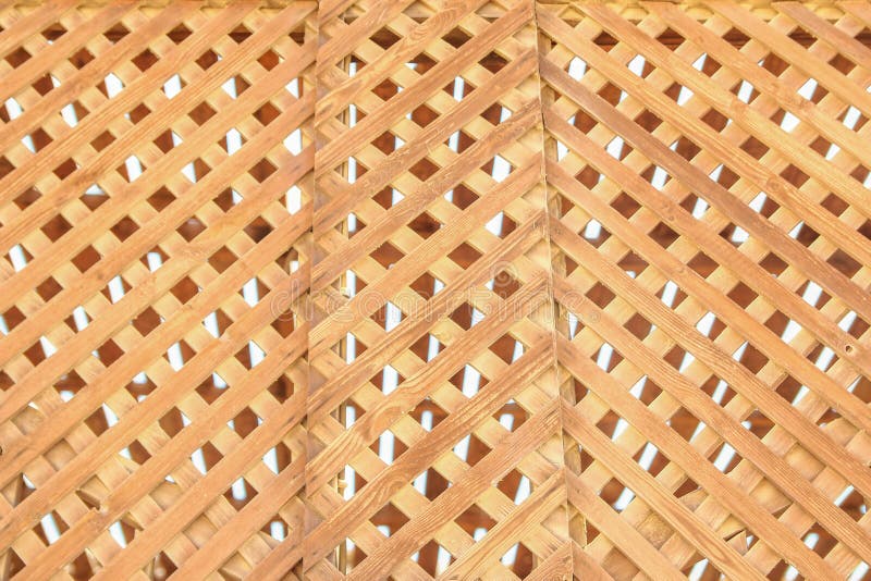 Stylishly Beautiful Mesh Tree on Nature Background Stock Photo - Image ...