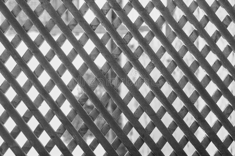 Stylishly Beautiful Mesh Tree on Nature Background Stock Image - Image ...