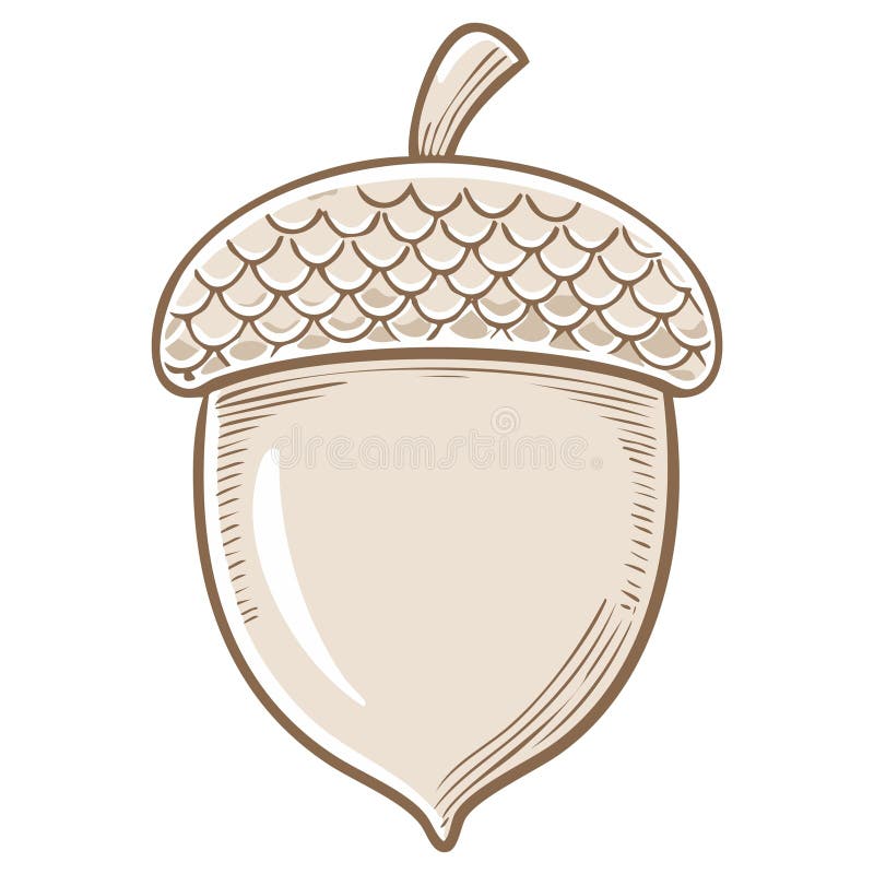 Stylized Acorn Illustration with a Textured Cap for Autumn and Nature ...