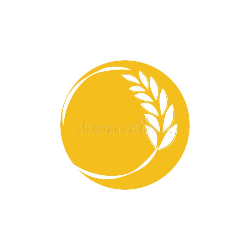 Wheat logo design and icon stock vector. Illustration of icon - 231083687
