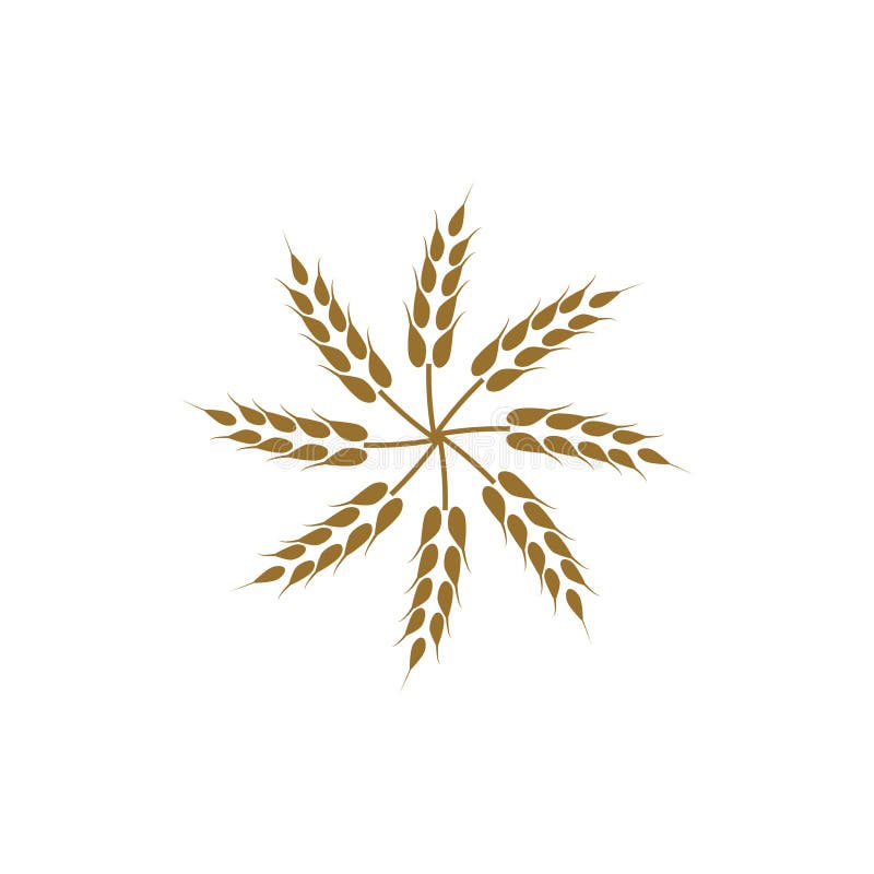 Wheat logo design and icon stock vector. Illustration of icon - 231083687