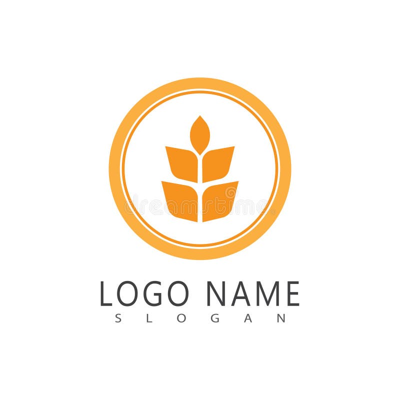 Wheat logo design and icon stock vector. Illustration of icon - 231083687