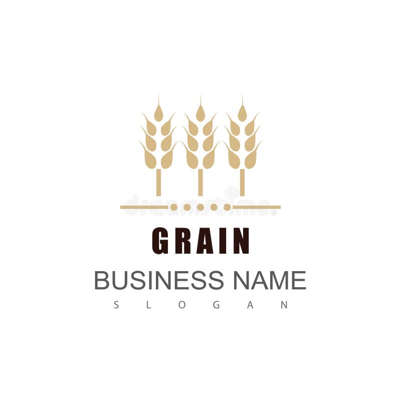 Wheat logo design and icon stock vector. Illustration of icon - 231083687