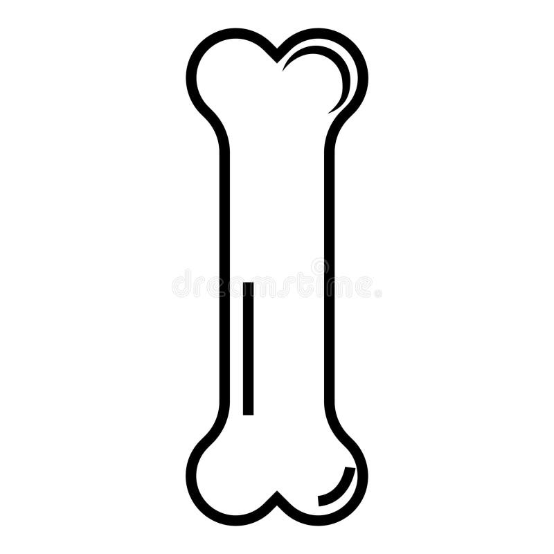 Human Anatomical Bone Art Illustration. Stock Vector - Illustration of ...