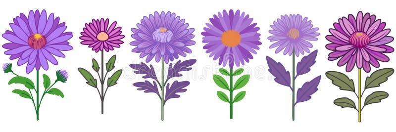 Illustration Featuring a Collection of Stylized Aster Flowers, Isolated ...